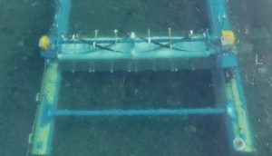 ORPC, European partners to create new generation of marine energy turbines